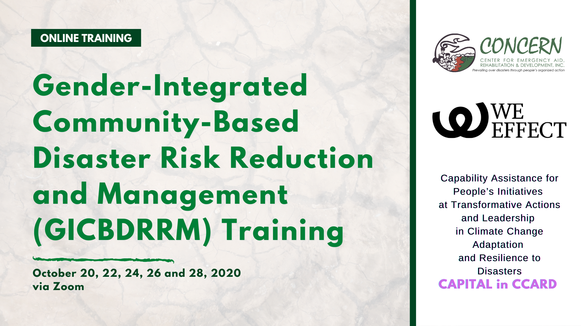 CONCERN Conducts Online GICBDRRM Training – Center for Emergency Aid ...